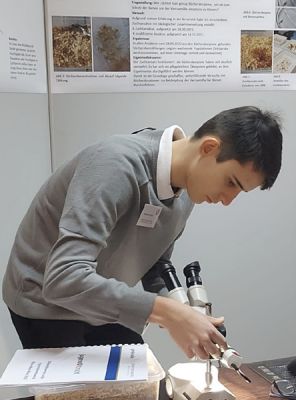 Erster Platz für „Bienenretter“ Alex Tönnes | Taunus-Nachrichten